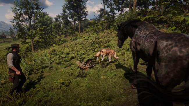 How Do You Get A Dog In Rdr2