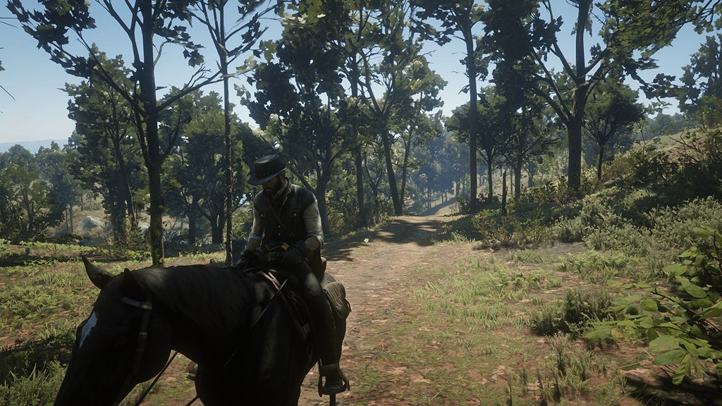 Red Dead Redemption 2 Photorealistic Graphics Version 1