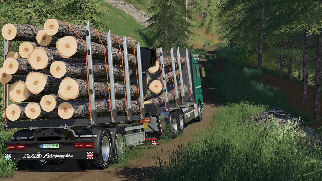FS19 - Man Tgx Forest Special Truck V1.0 | Farming Simulator 19 | Mods.club